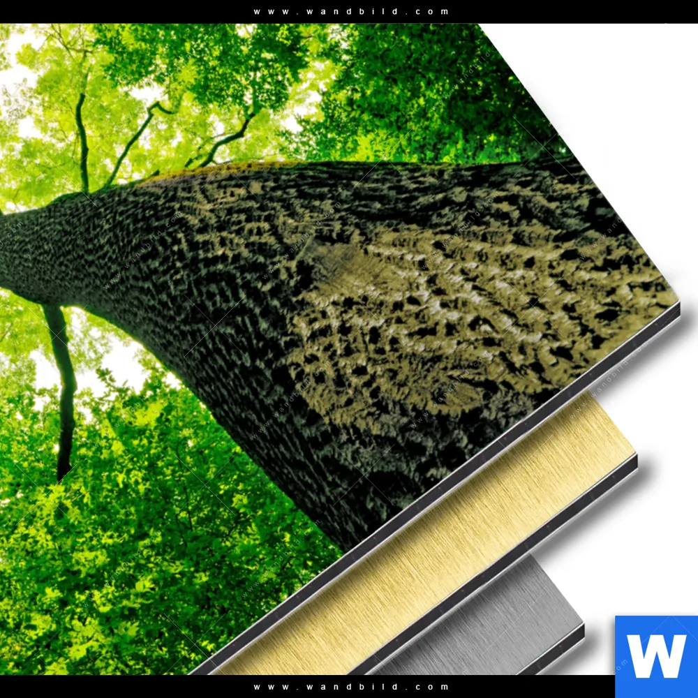 Aluminium-Bild gebürstet Gold Silber Kupfer ♥️ Baum im Wald | Querformat | wandbild.com
