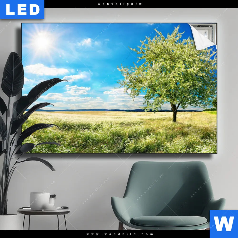 Canvalight® Leuchtbild ♥️ Wiese mit blühendem Baum | Querformat | wandbild.com