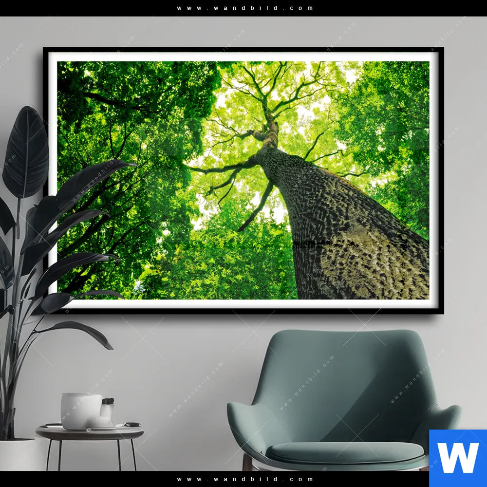 Poster ♥️ Baum im Wald | Querformat | wandbild.com