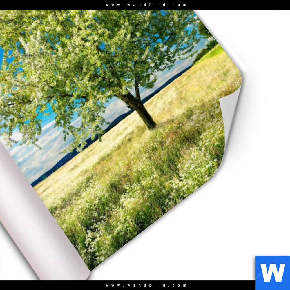 Poster ♥️ Wiese mit blühendem Baum | Querformat | wandbild.com