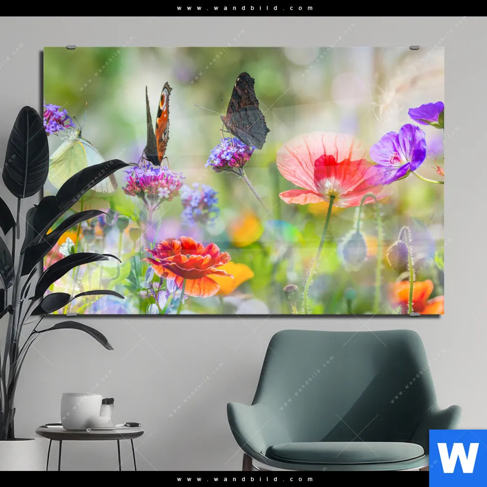 Acrylglasbild ♥️ Blumenwiese mit Schmetterlingen | Querformat ...