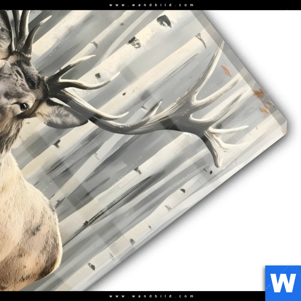 Acrylglasbild ♥️ Hirsch im Birkenwald | Hochformat | BigBilder ...