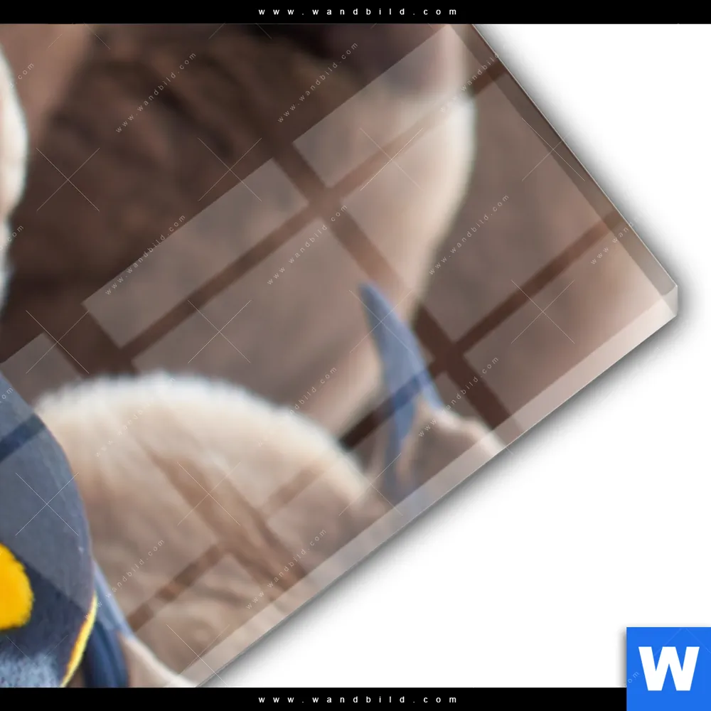 Acrylglasbild ♥️ Königspinguine | Schmal | wandbild.com