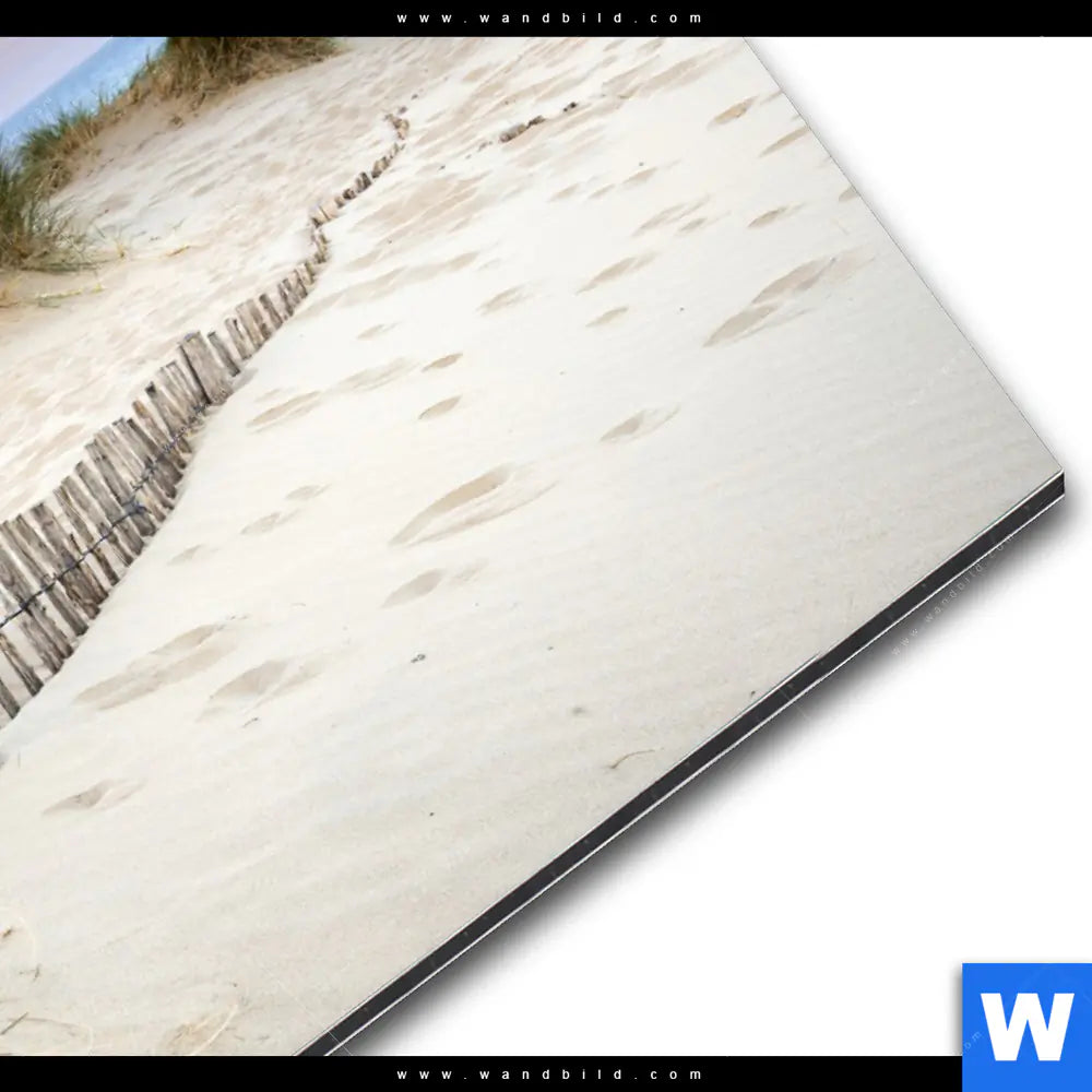 Alu-Dibond Bild ♥️ Gräser am Ostseestrand | Querformat | wandbild.com