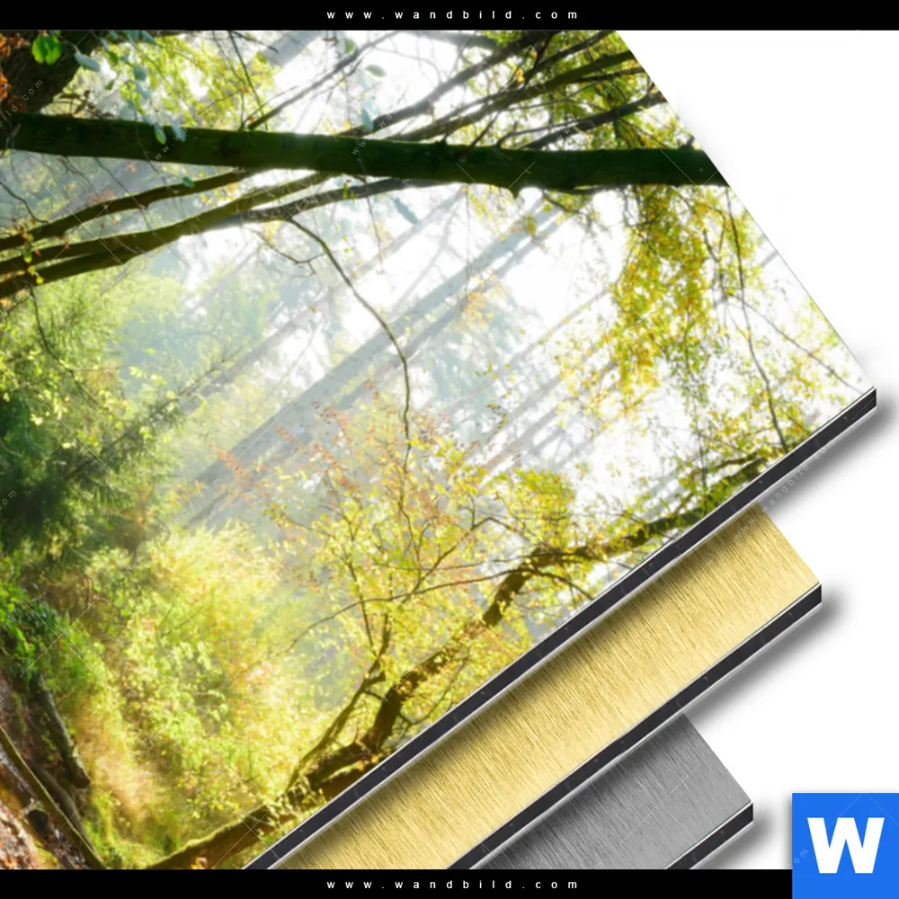 Bild Edelstahloptik ♥️ Natürlicher Wald | Hochformat | wandbild.com