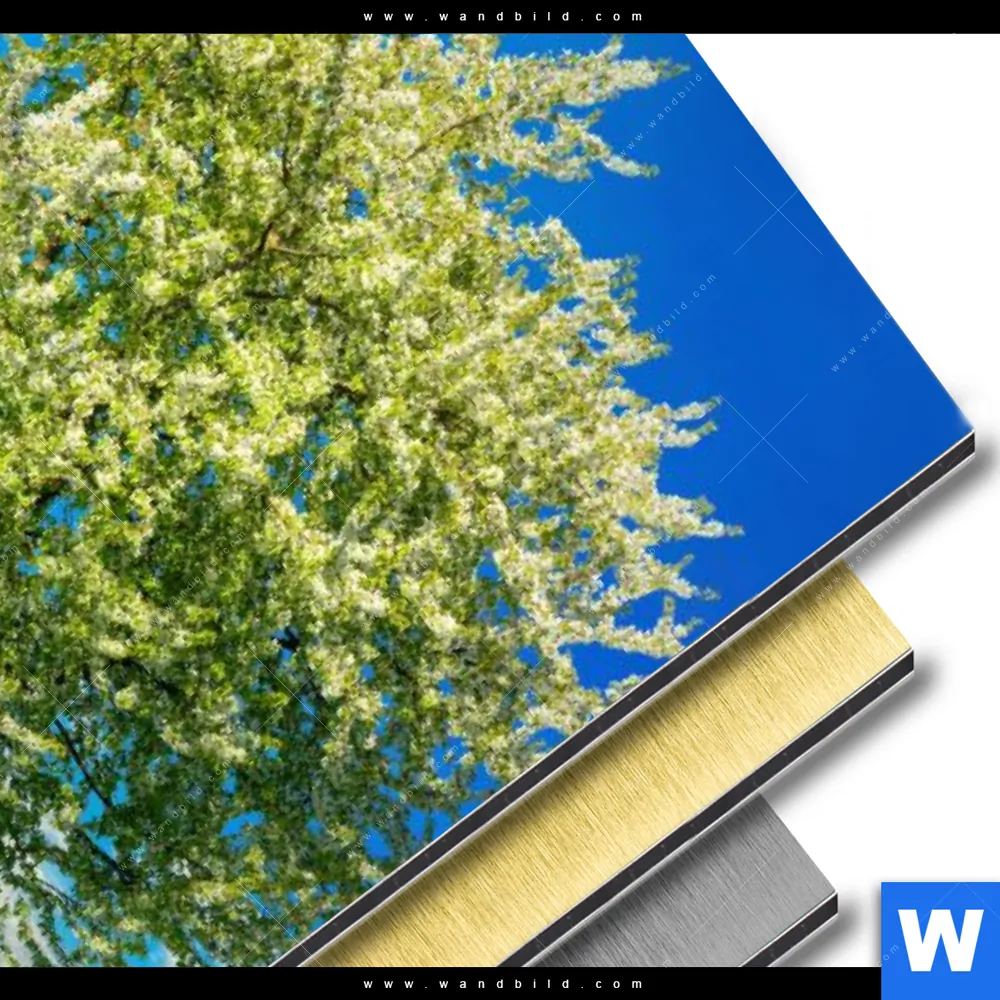 Bild Edelstahloptik ♥️ Wiese mit blühendem Baum | Hochformat | wandbild.com