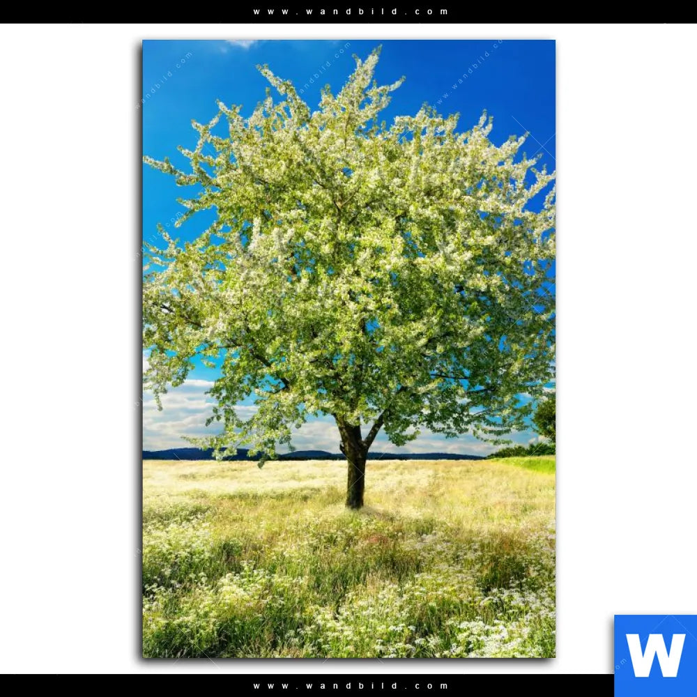 Bild Edelstahloptik ♥️ Wiese mit blühendem Baum | Hochformat | wandbild.com