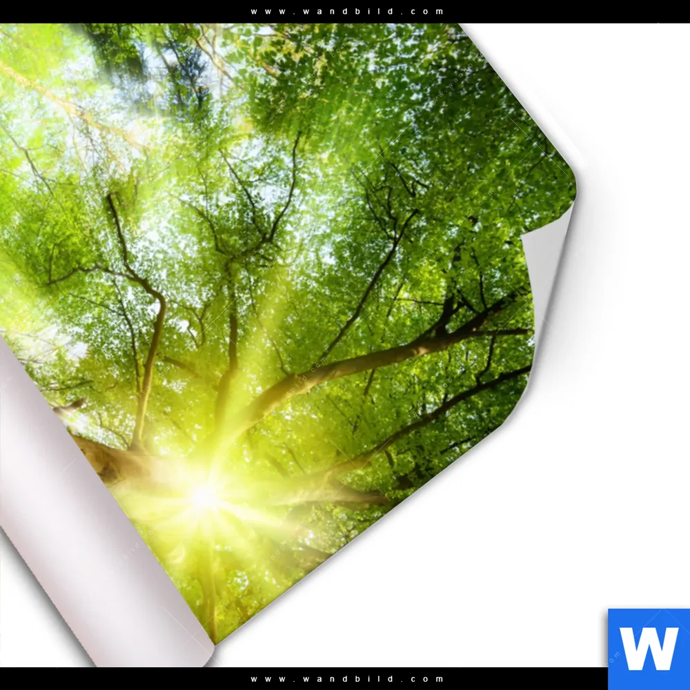 Poster ♥️ Im frischen grünen Wald | Hochformat | wandbild.com