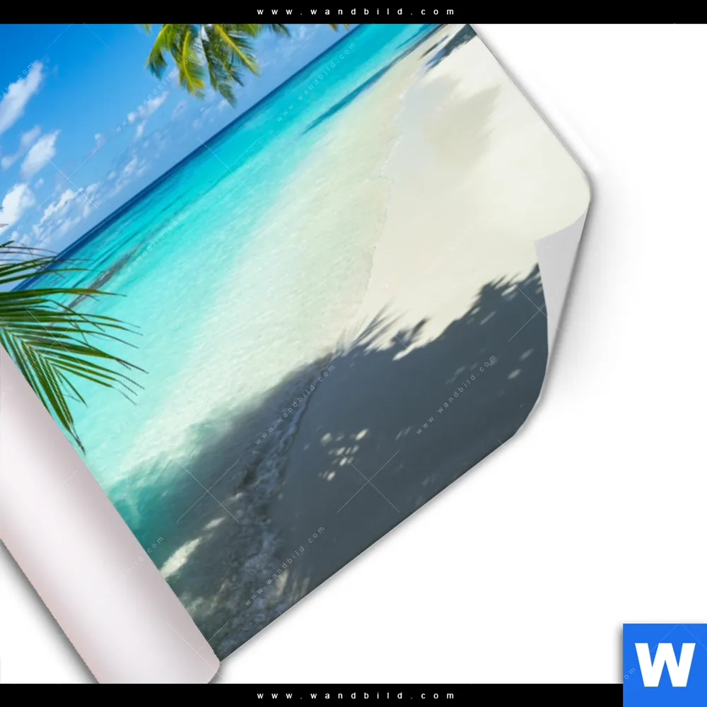 Poster ♥️ Kokospalme am Strand | Querformat | wandbild.com