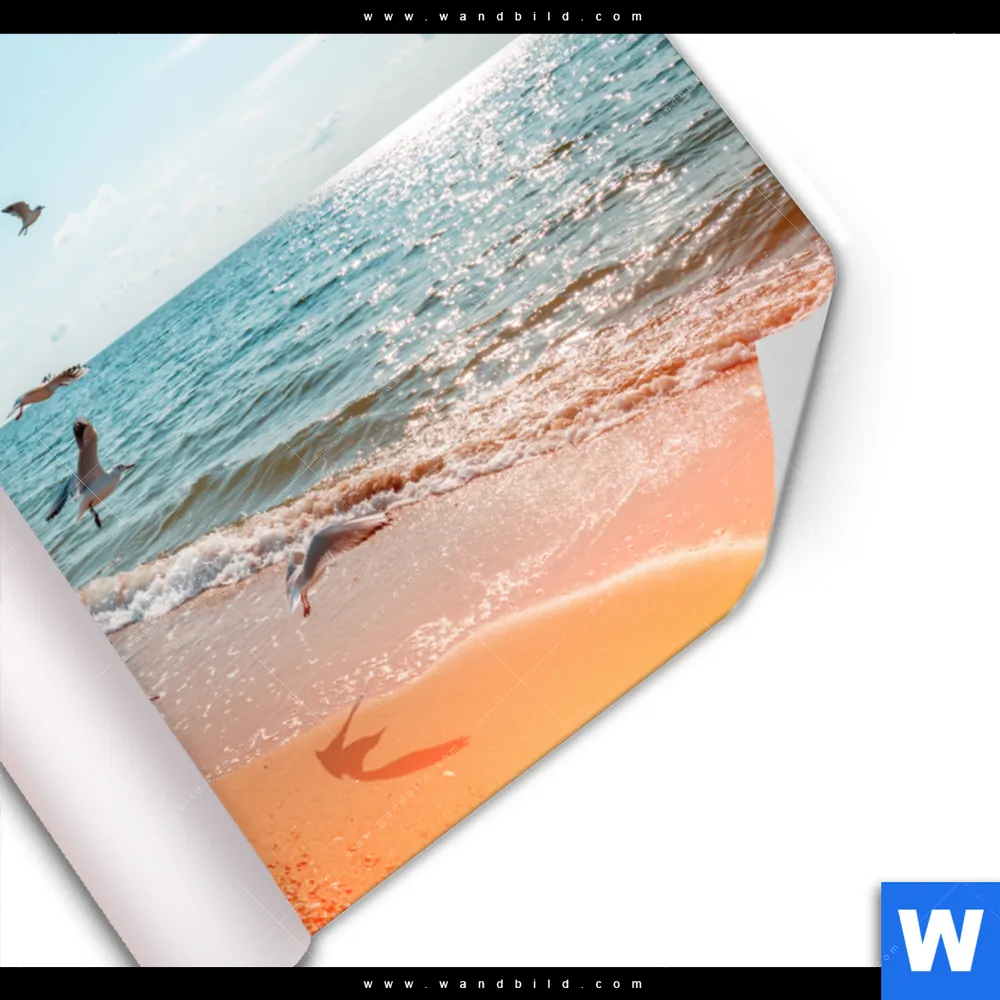 Poster ♥️ Möwen am Strand | Querformat | wandbild.com