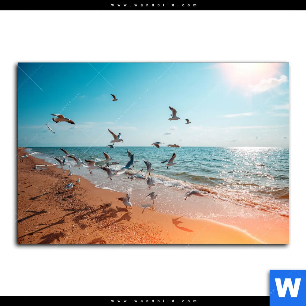 Poster ♥️ Möwen am Strand | Querformat | wandbild.com