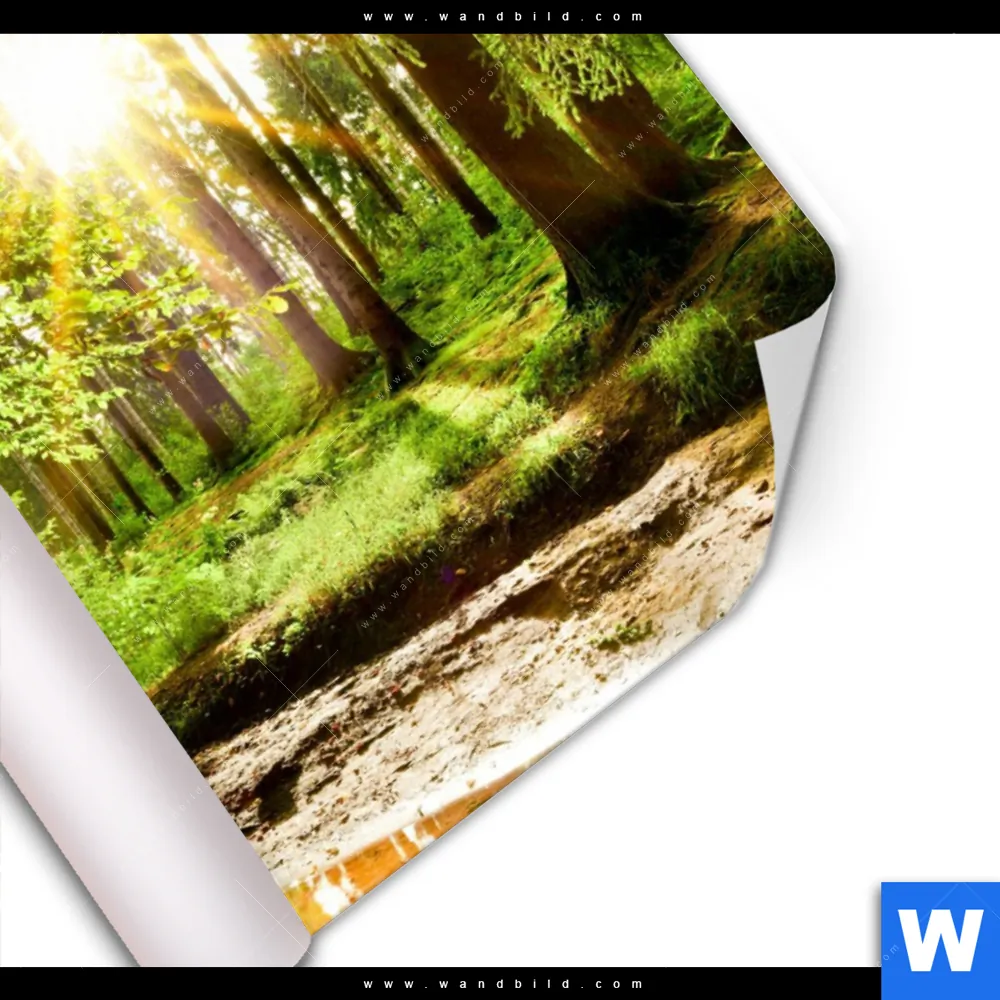 Poster ♥️ Natur pur - Der Wald | Querformat | wandbild.com