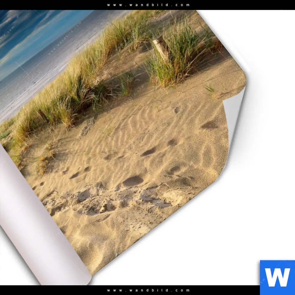 Poster ♥️ Sandpfad zum Nordseestrand | Querformat | wandbild.com
