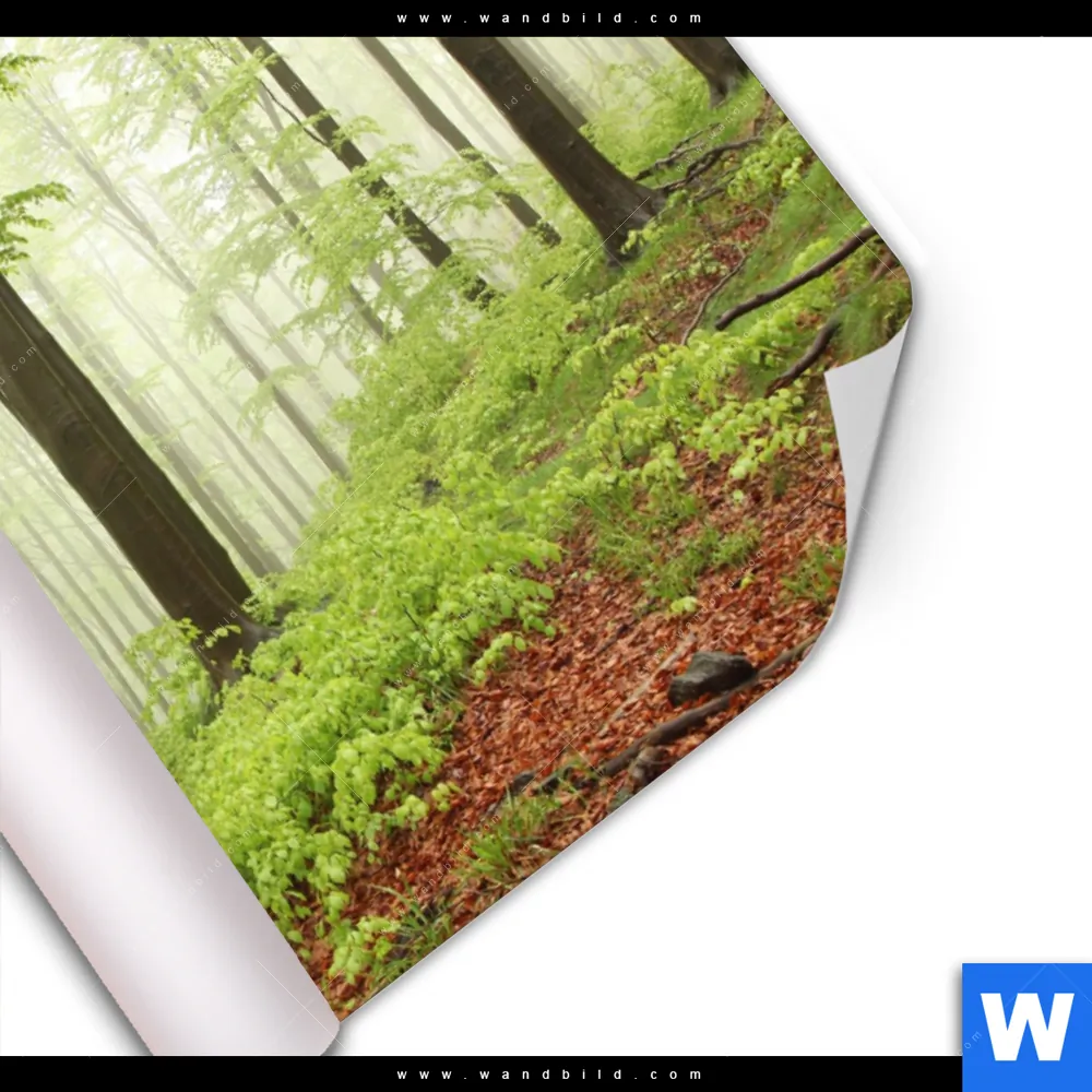Poster ♥️ Unberührte Natur - Der Wald | Querformat | wandbild.com