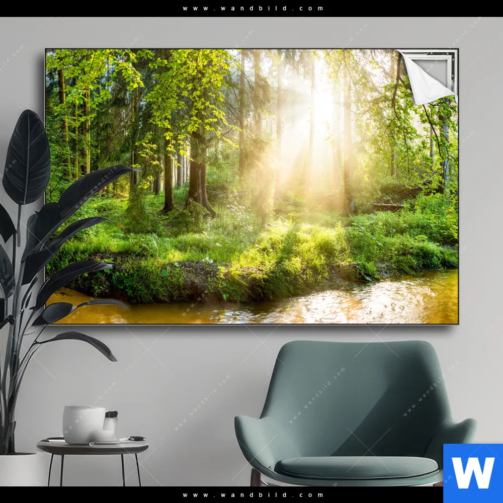 Spannbild ♥️ Herbstlicher Wald | Querformat | wandbild.com