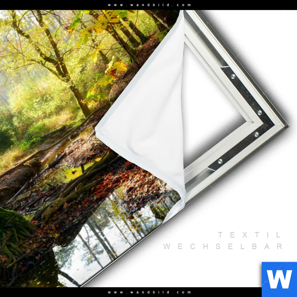 Spannbild von wandbild.com - Natürlicher Wald - Querformat